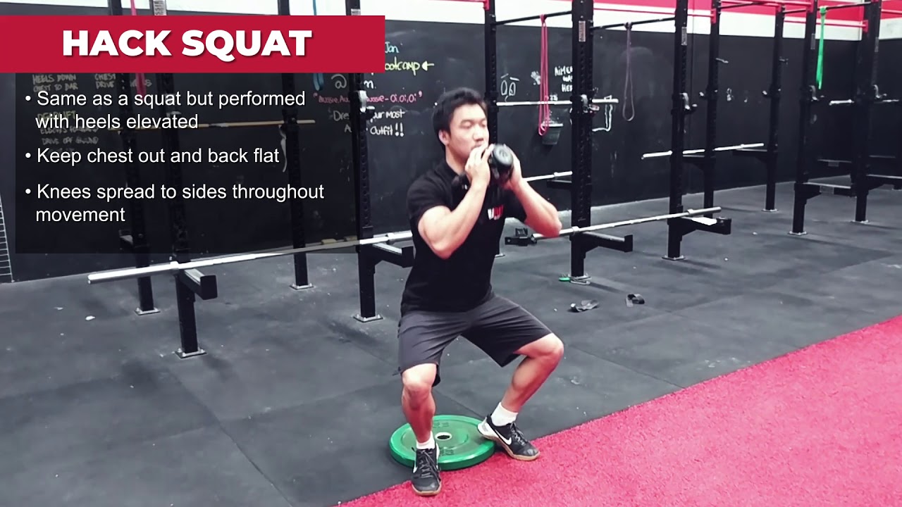Hack Squat - YouTube