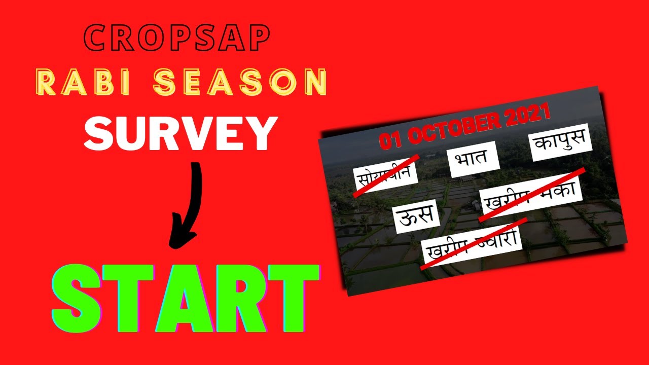 CROPSAP - सर्वेक्षण - :समाप्त व नवीन पिकांचे सर्वेक्षण सुरू ! New ...