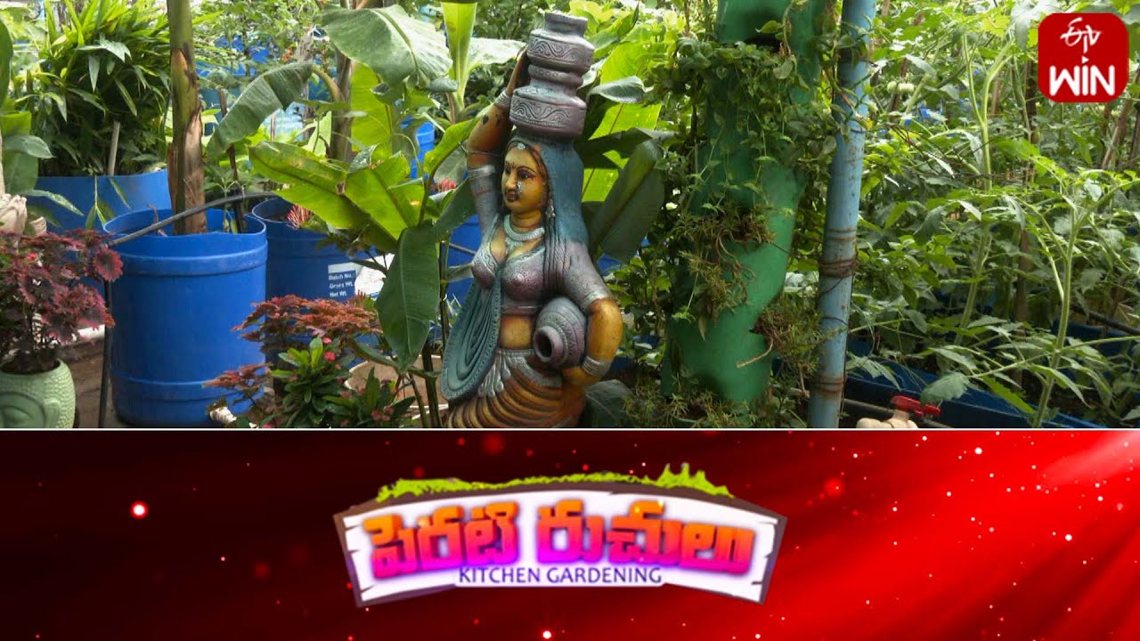 Perati Ruchulu | 12th Sep 2024 | Full Episode | ETV Abhiruchi - YouTube