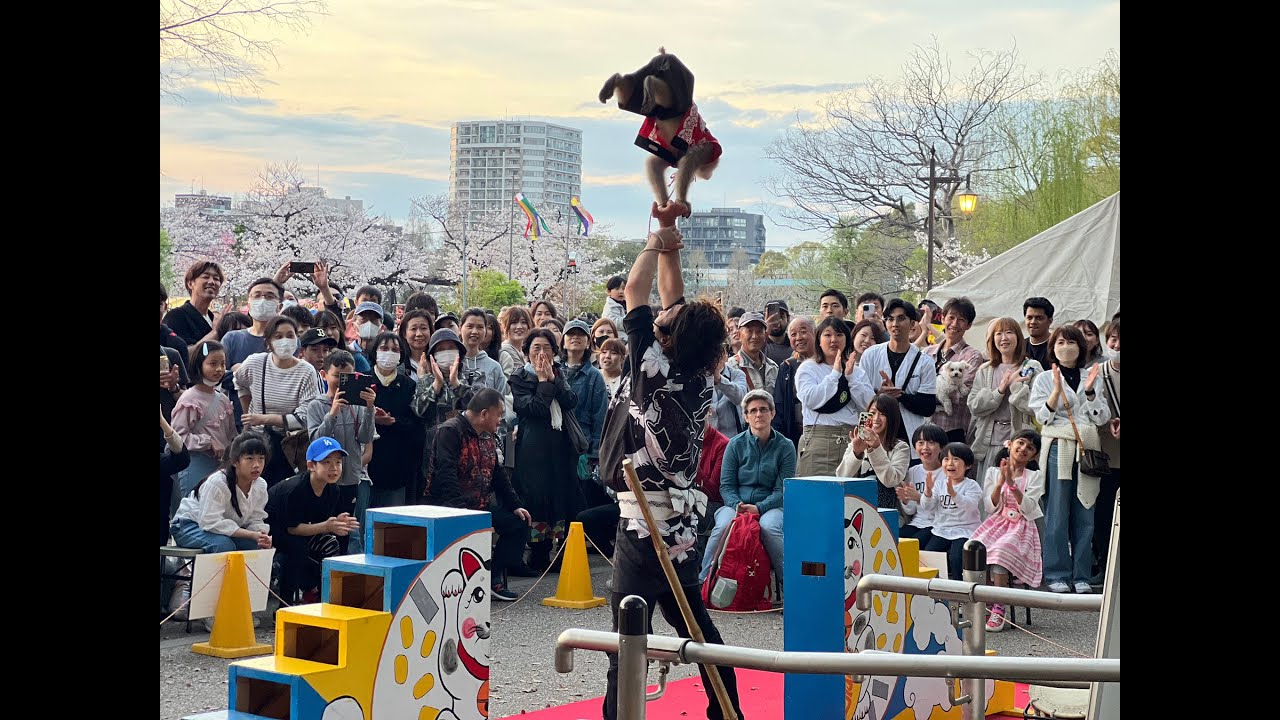 Finally Ueno Park Ma Sakura Herna Mauka Paiyo |Halka Ramilo with Mayalu ...
