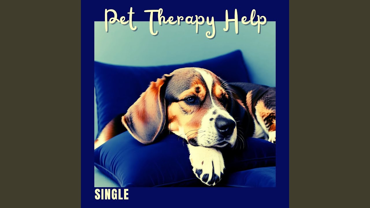 Pet Therapy Help YouTube pet-therapy-help-youtube