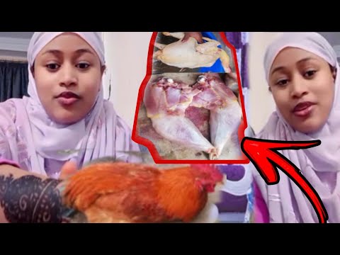 Akkati Makin Lukkuu Qala Jirtu Biliti 12 Basun Akkas Gotee Maki 