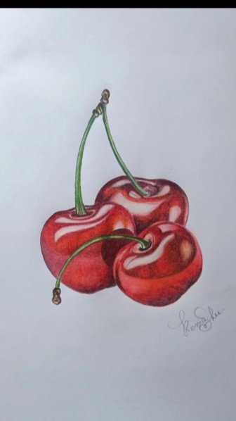 My Colour Pencils Charee drawing 🍒🍒#shorts #drawing - YouTube