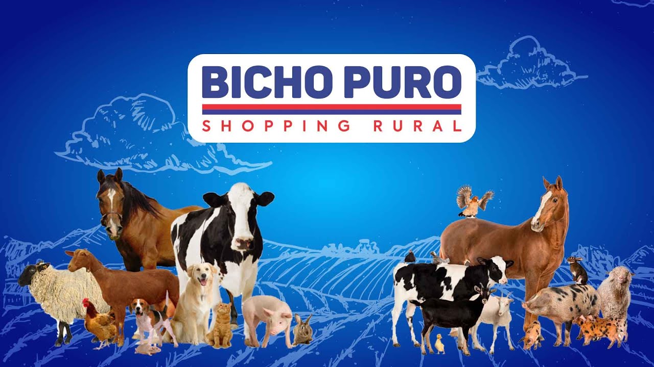 Bicho Puro Site Oficial - YouTube