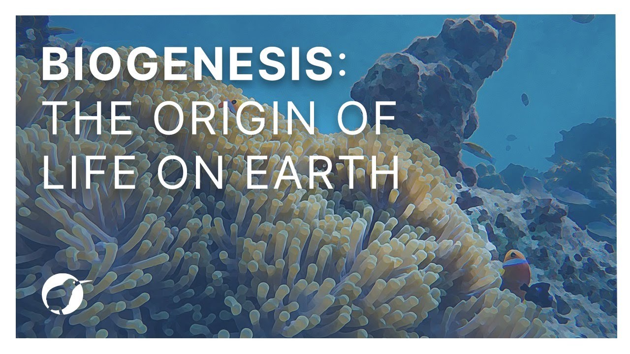 Biogenesis: The Origin Of Life On Earth - YouTube