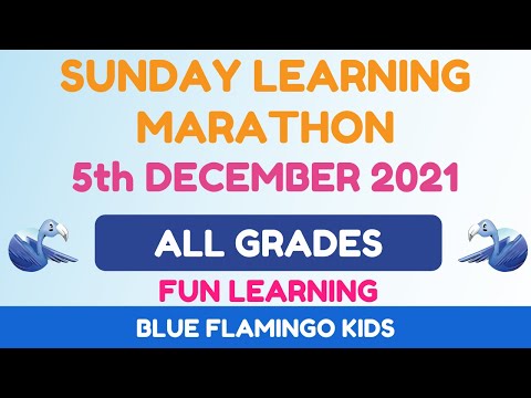 Marathon | 5 Dec | Blue Flamingo Kids