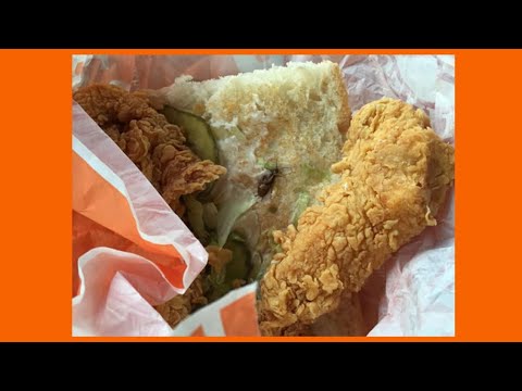 Popeyes Restaurant Shut Down Due To Cockroaches - YouTube