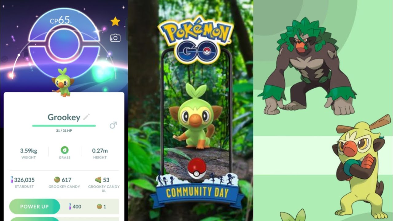 🔥 GROOKEY COMMUNITY DAY LIVE 🔥 | SHINY GROOKEY HUNT | Pokémon GO Hindi ...