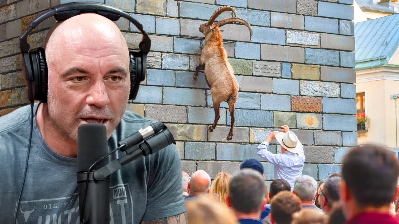 Joe Rogan Revealed: "Strangest Animals That Break the Laws of Physics ...