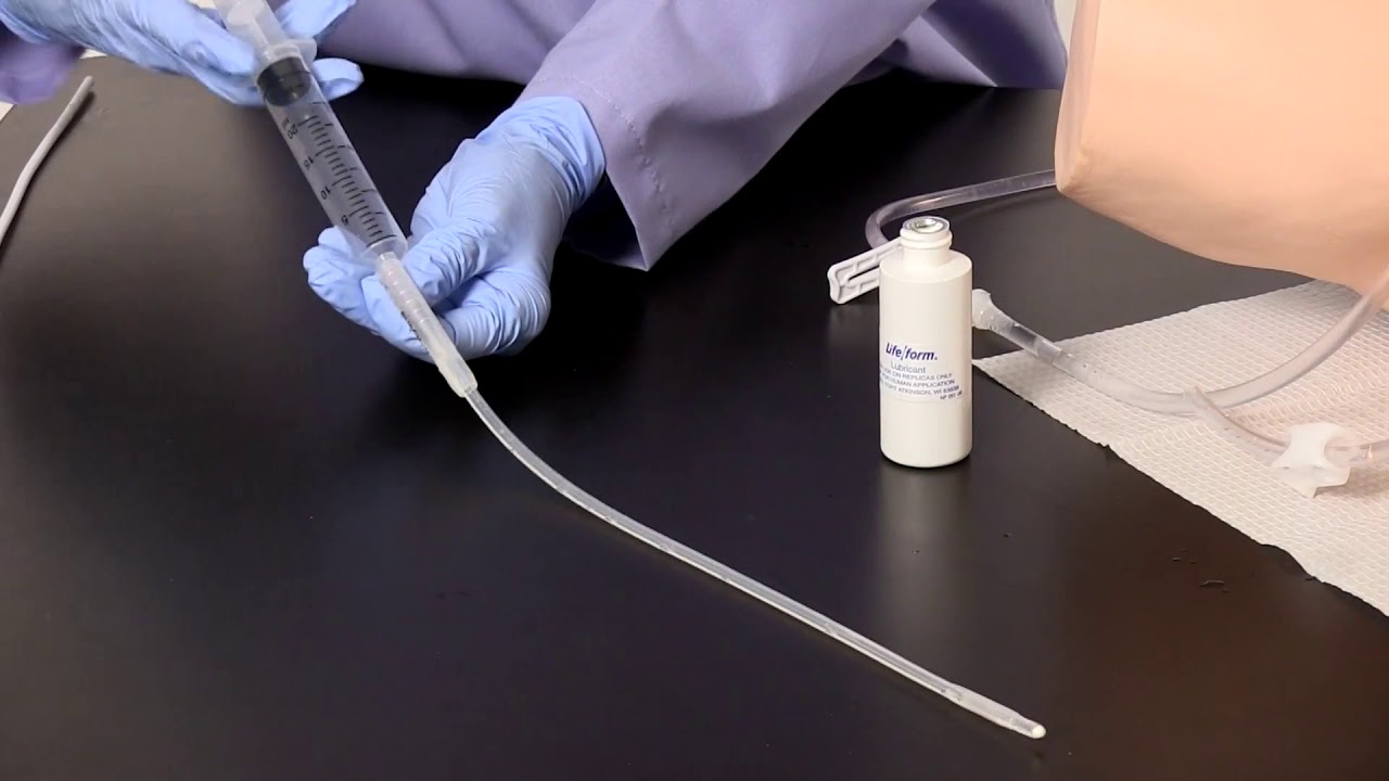 Nasco Lifeform® Female Catheterization Simulator LF00856U - YouTube