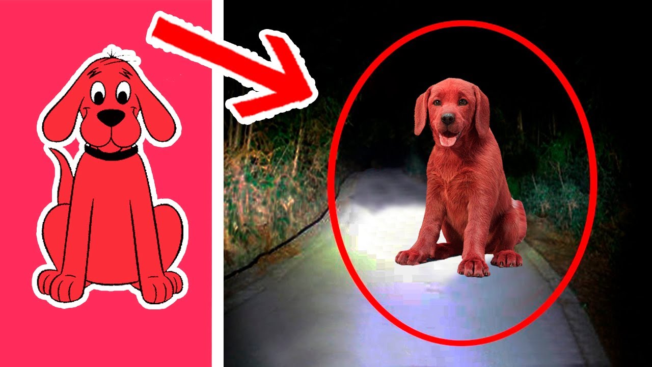 8 CLIFFORD Reales Captados en CÁMARA y VISTOS En La Vida REAL - YouTube