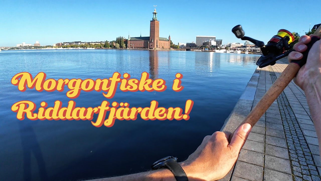 Fiskar i Riddarfjärden! - YouTube