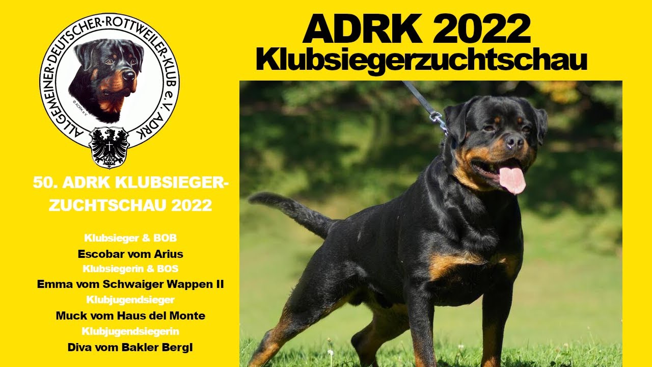 ADRK Klubsieger Show 2022 - YouTube