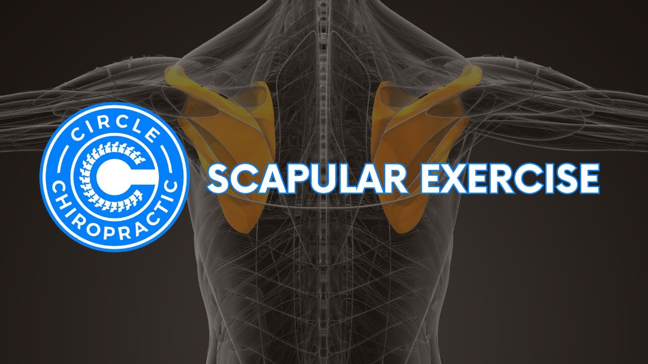 Scapular Exercise for Better Posture & Spinal Health | Strengthen Your ...