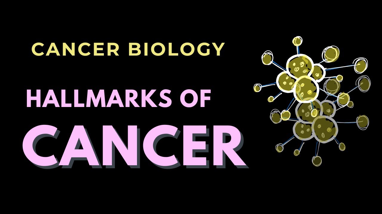 Hallmarks of Cancer Cells | Cancer Biology - YouTube