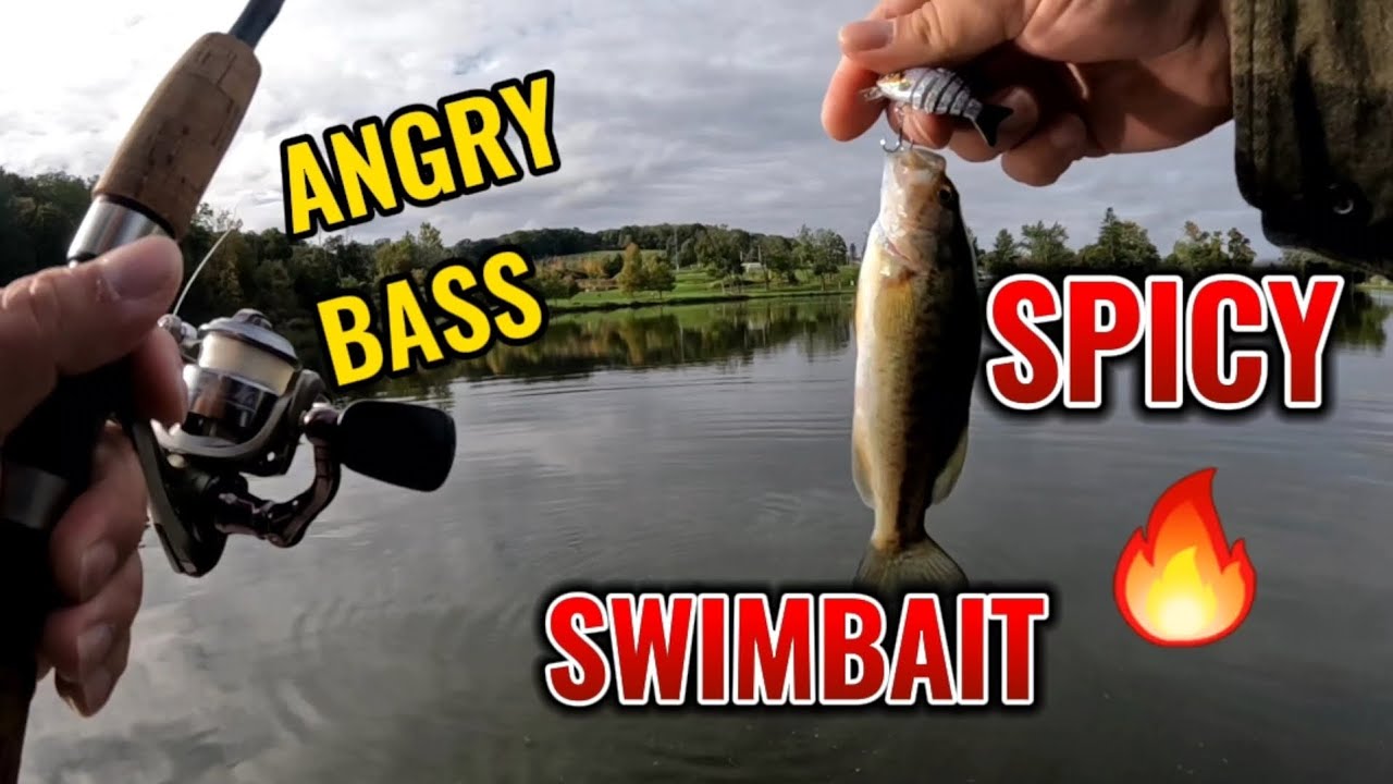 Angry Bass Spicy Swimbait - YouTube