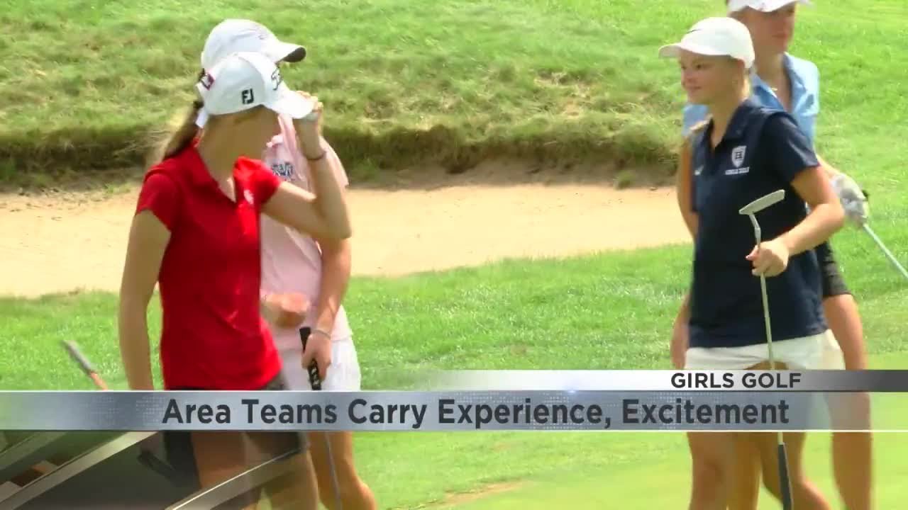 Swavely, Hudson golf team win Old Abe Invite - YouTube