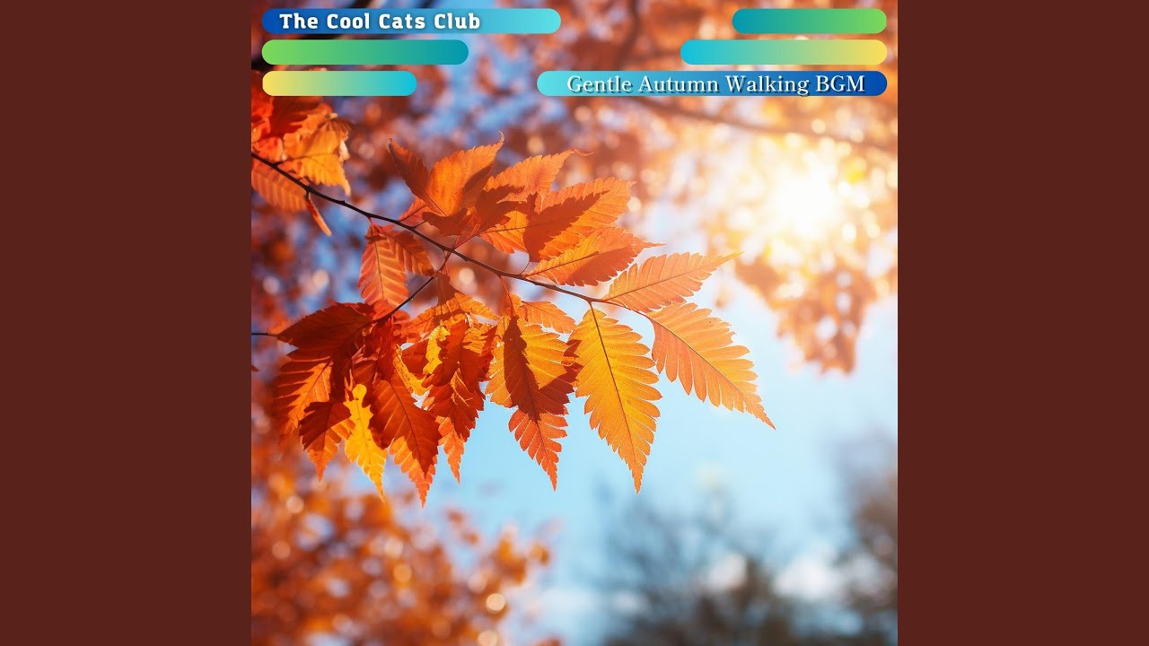 Fireside Fusion Flow - YouTube