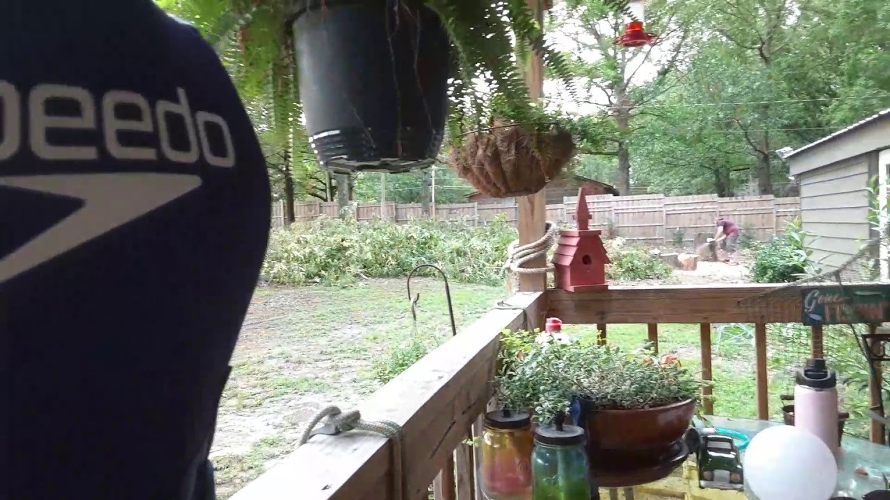 My yard getting destroyed - YouTube