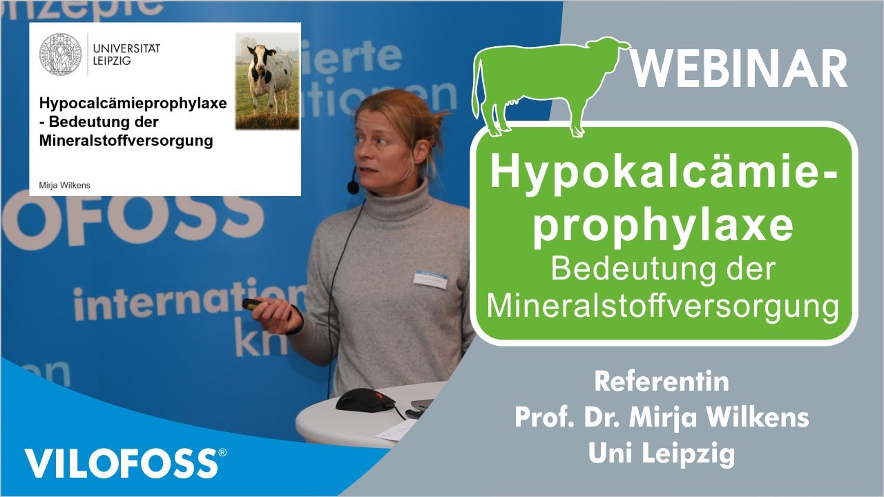 #4 🐄 Hypokalcämieprophylaxe und Mineralstoffversorgung - Prof.Dr. Mirja ...