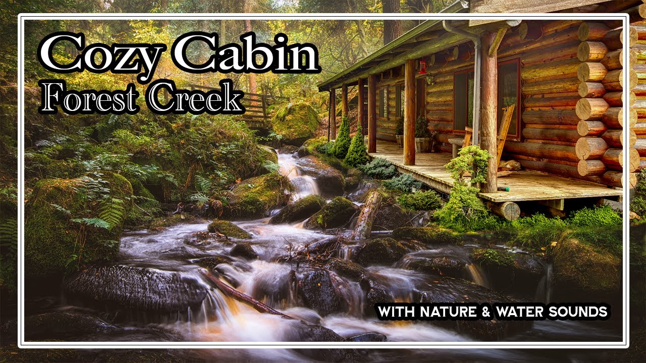 AMAZING FOREST Waterfall Creek | Cozy Log Cabin | Amazing Forest Water ...