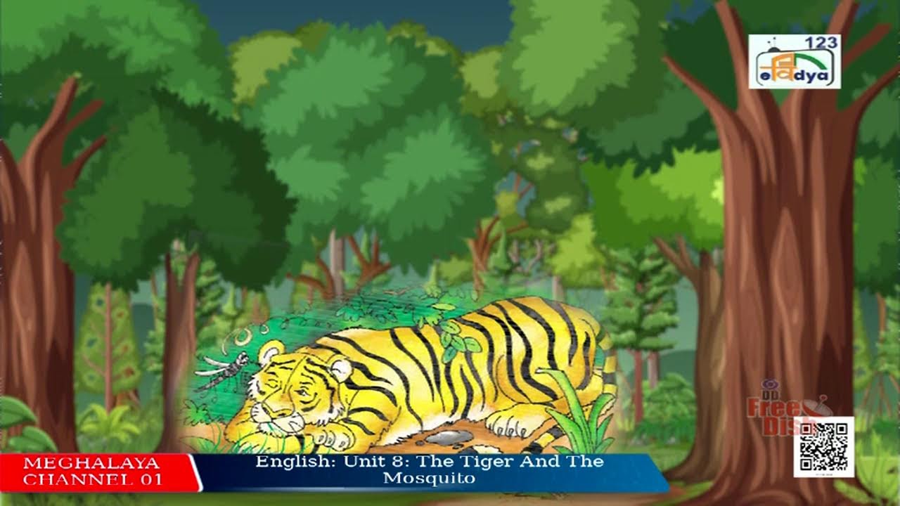 @FOUNDATIONAL STAGE _01 - YouTube