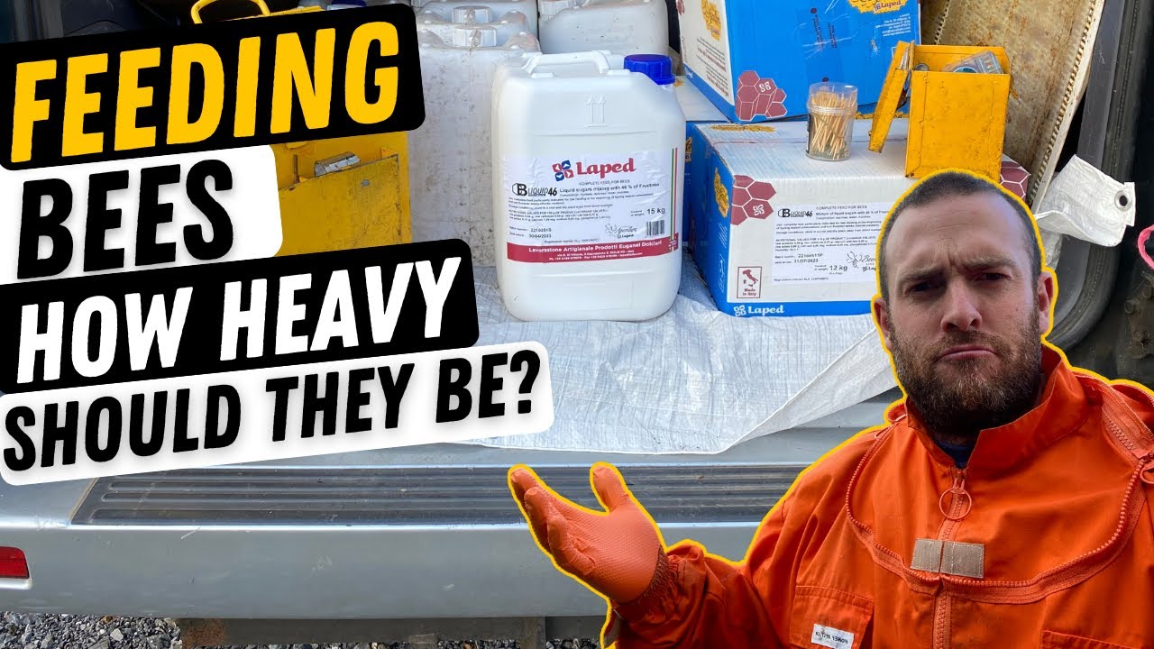 Feeding Bees Syrup in Autumn. How Heavy Should They Be? - YouTube
