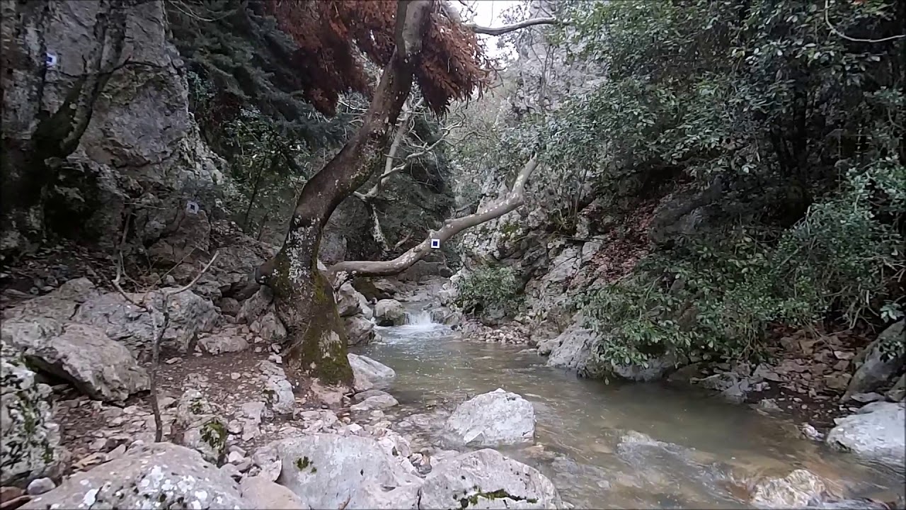 ΠΑΡΝΗΘΑ-ΦΥΛΗ-ΠΗΓΗ ΤΑΜΙΛΘΙ-ΣΠΗΛΑΙΟ ΠΑΝΟΣ-ΡΕΜΑ ΓΚΟΥΡΑΣ-ΑΡΜΑ - YouTube