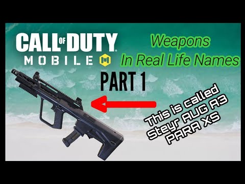 Call Of Duty : Mobile | Weapon Names in Real life and based on what ...