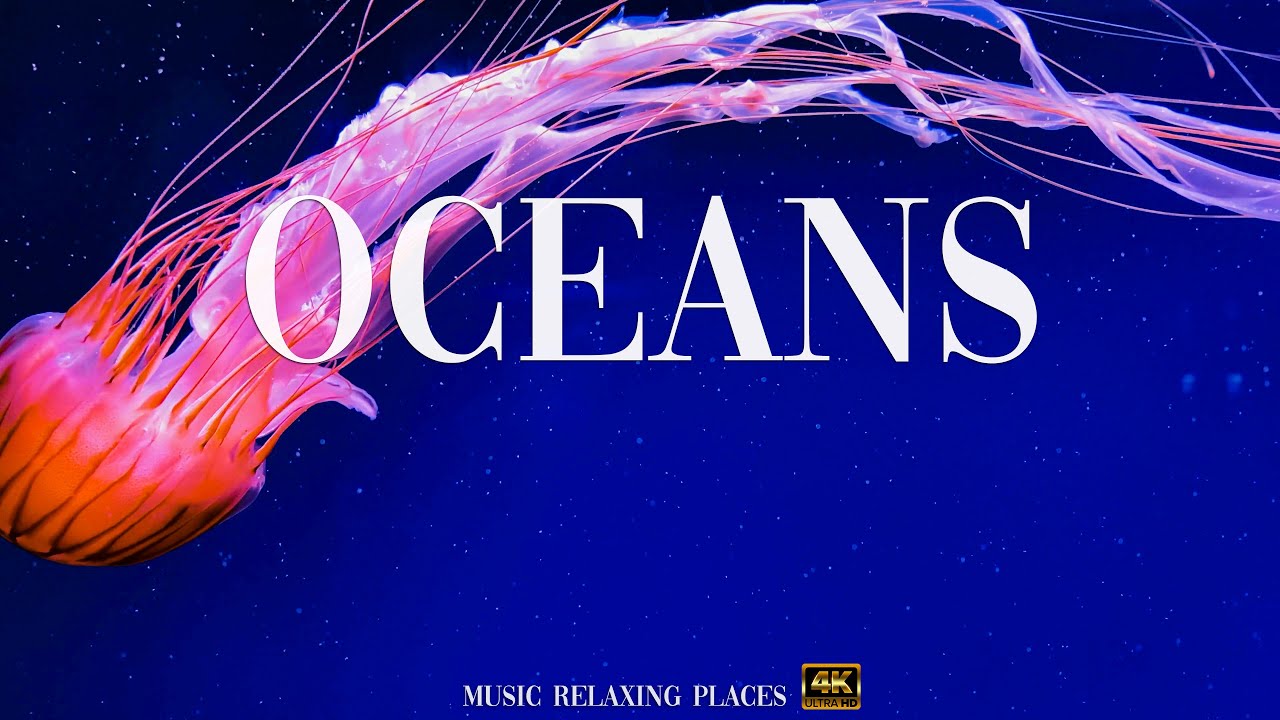 Oceans 4K - Relaxing Music, Calm Music, Study Music - 4K Video UltraHD ...