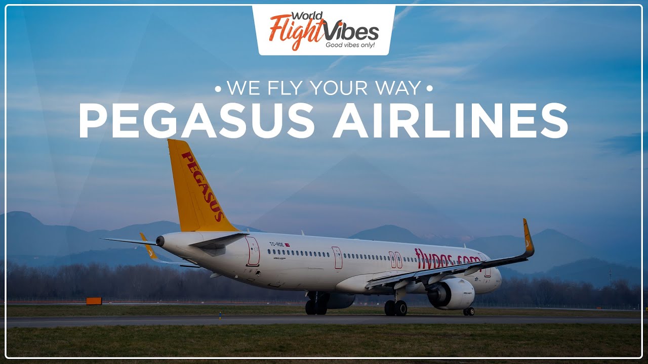 Flying High with Pegasus: Discover the Ultimate Travel Experience ...
