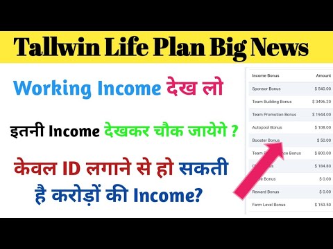 Tallwin Life Plan In Hindi | Coin से होने वाला है बड़ा धमाका | Tallwin Life Big News - YouTube