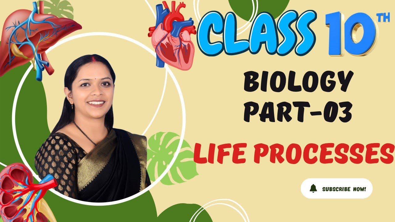 The Human Digestive System | Biology Class 10 | Life Processes - YouTube