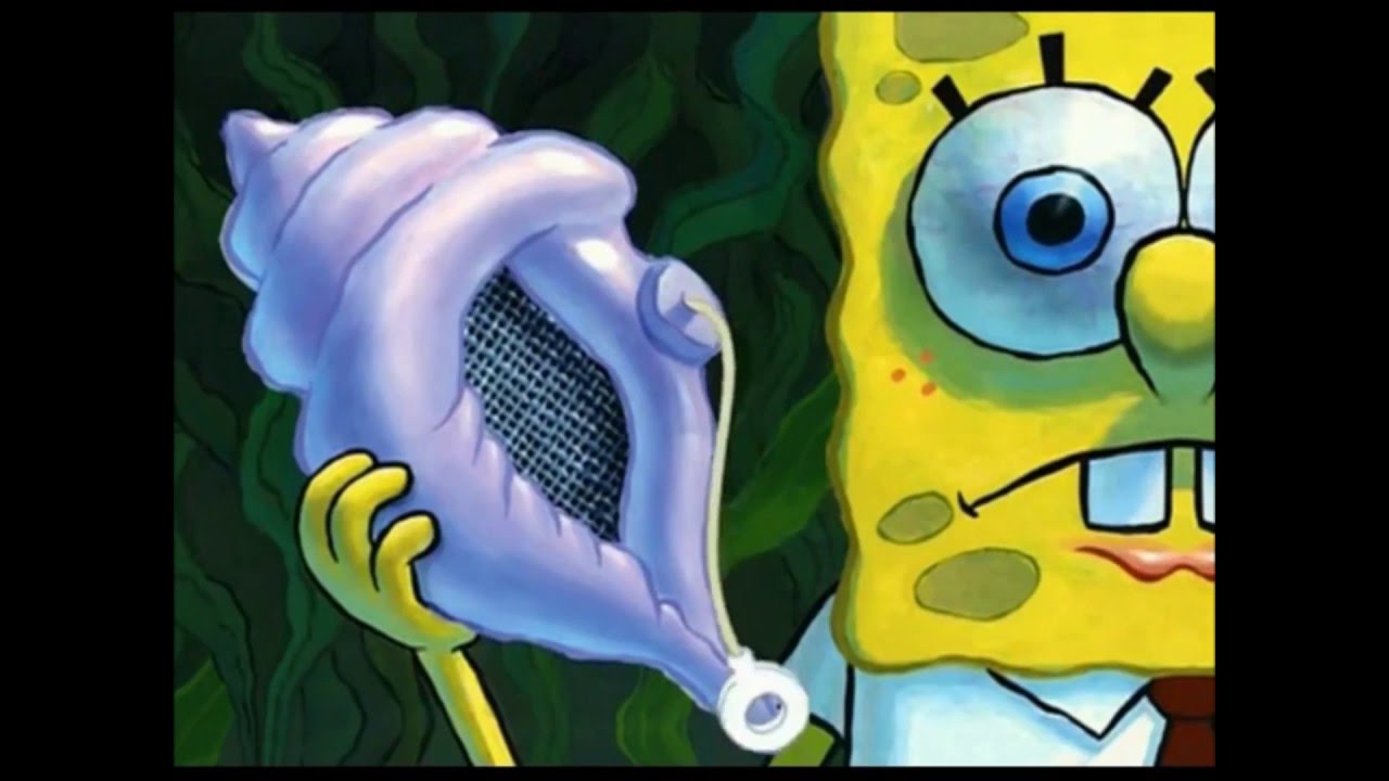 The Conch has spoken - YouTube