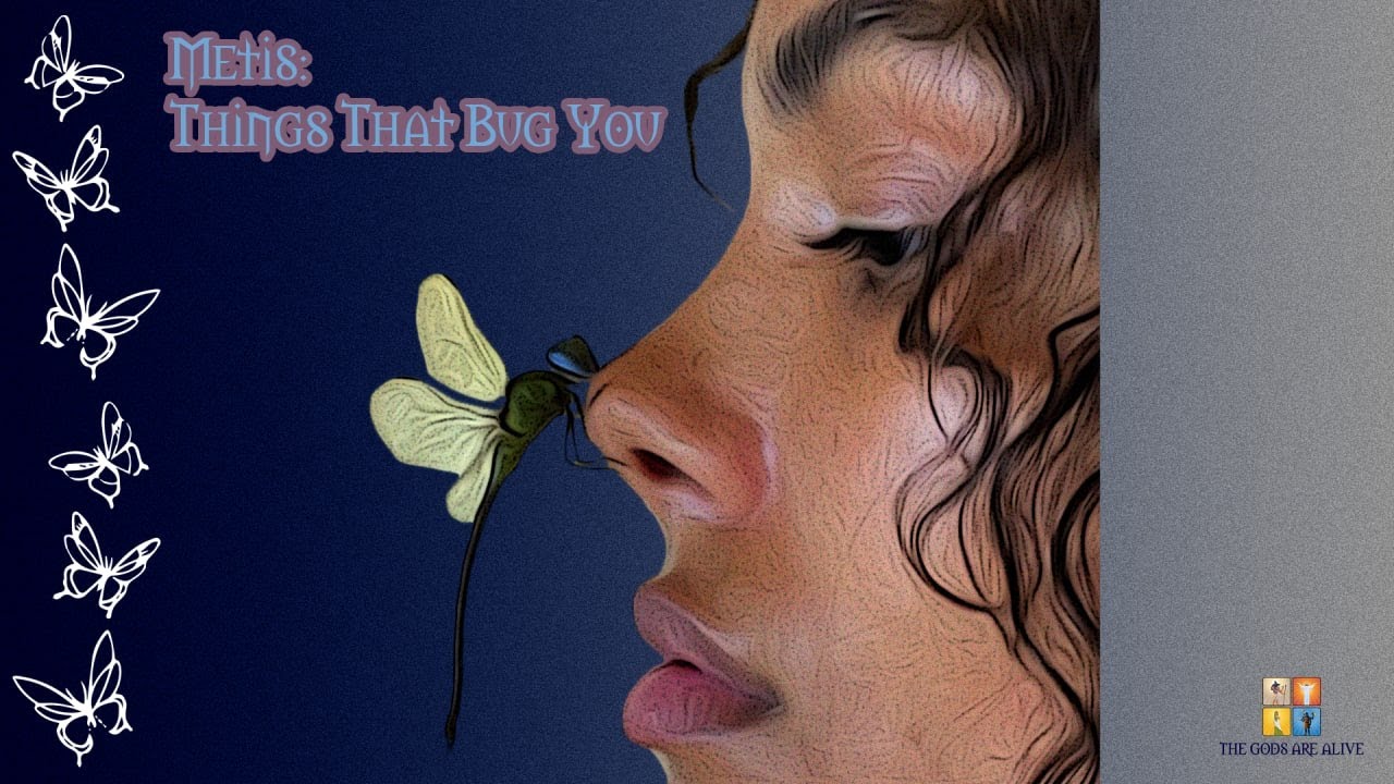 Metis: Things That Bug You - YouTube