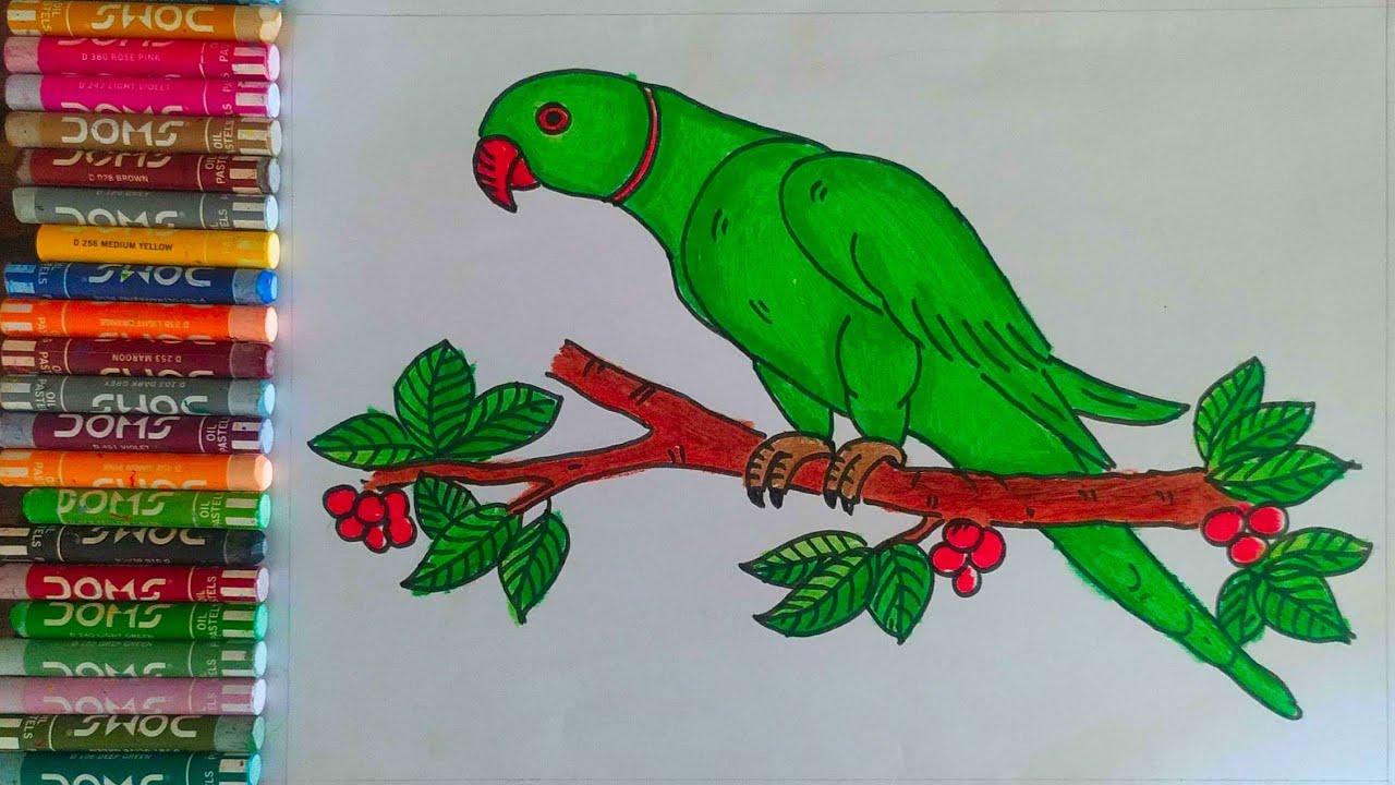Parrot drawing| Parrot easy drawing step by step| पोपट का चित्र बनाना ...