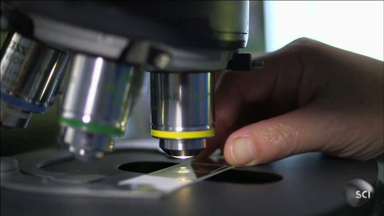 Synthetic Biology | Aliens: The Definitive Guide - YouTube