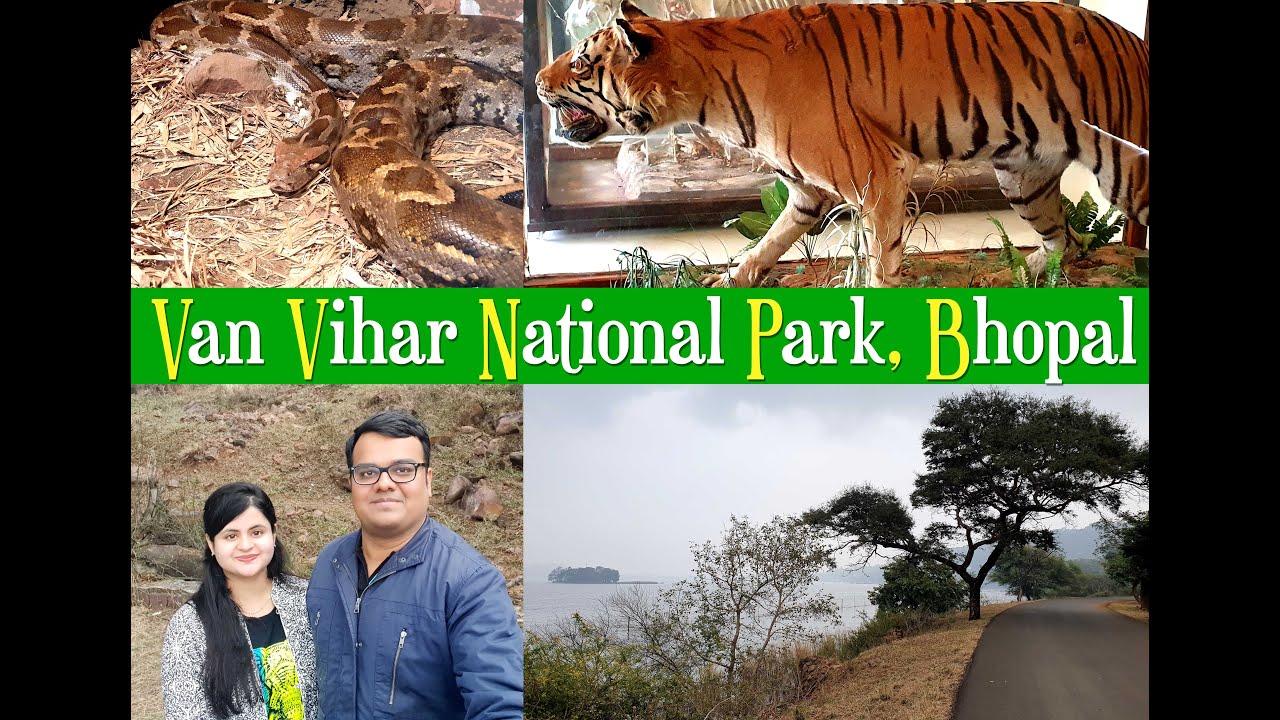 Van Vihar National Park 2020 | Best outing in Bhopal | Madhya Pradesh ...