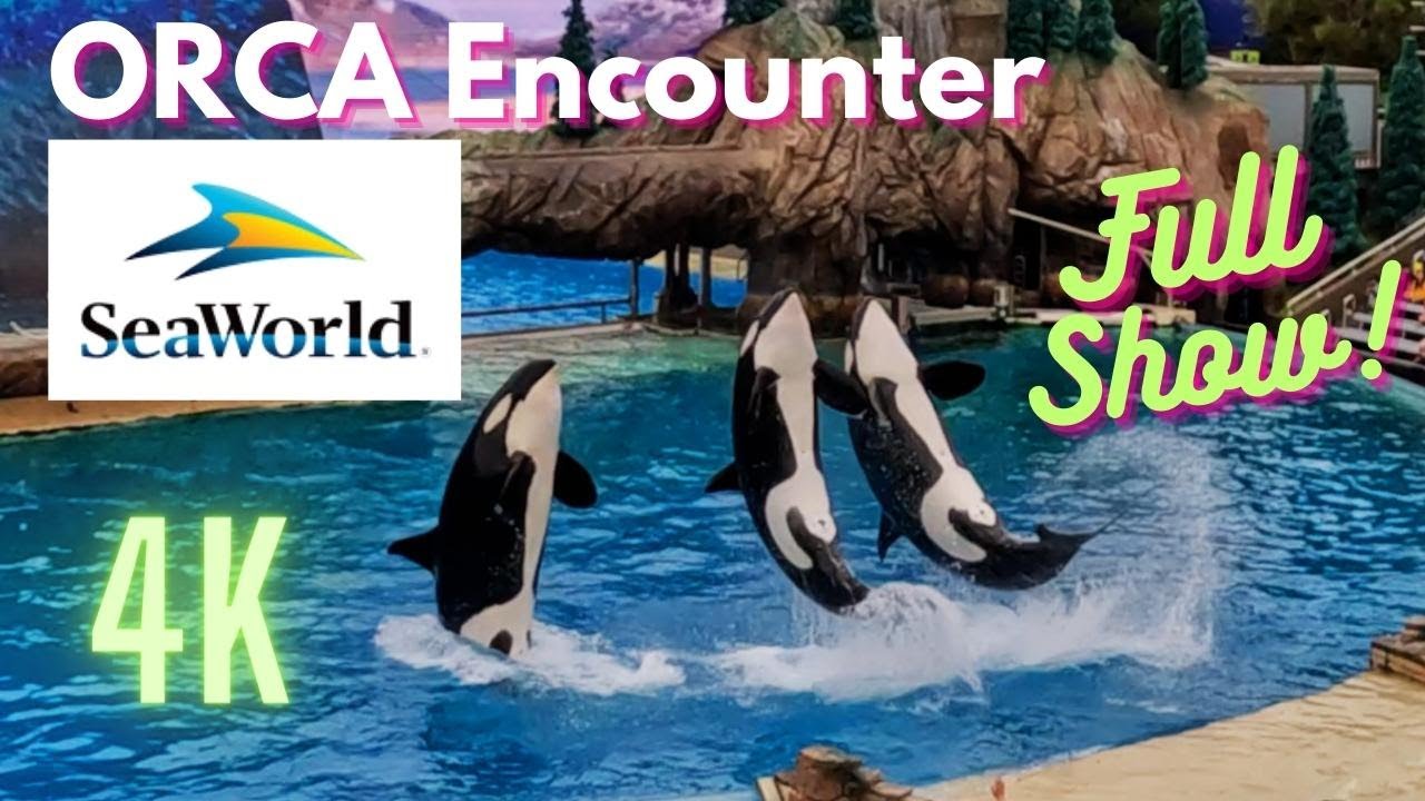 DON'T Sit in the Splash Zone at SeaWorld's Orca Encounter! Full Show ...