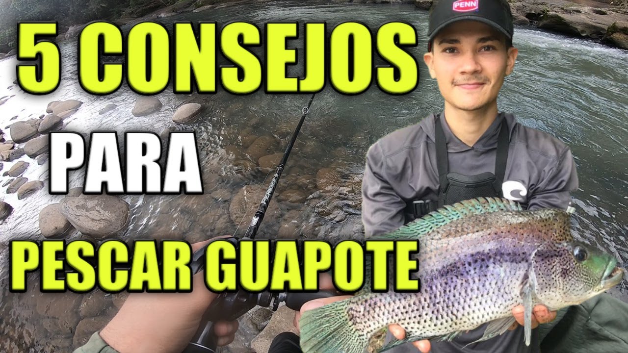 COMO PESCAR GUAPOTES EN RIOS O LAGUNAS, 5 CONSEJOS. - YouTube