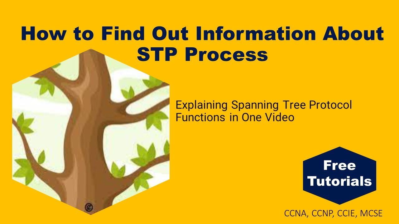 How to Find Out Information About STP Process - YouTube