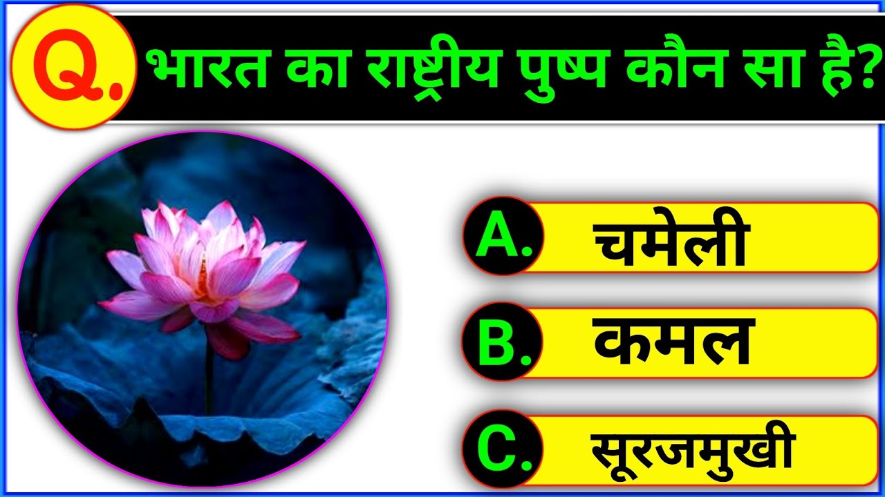 🤔 Only 1% Can Answer 🧠 These GK Questions! | Ultimate Brain Challenge 🔥 ...