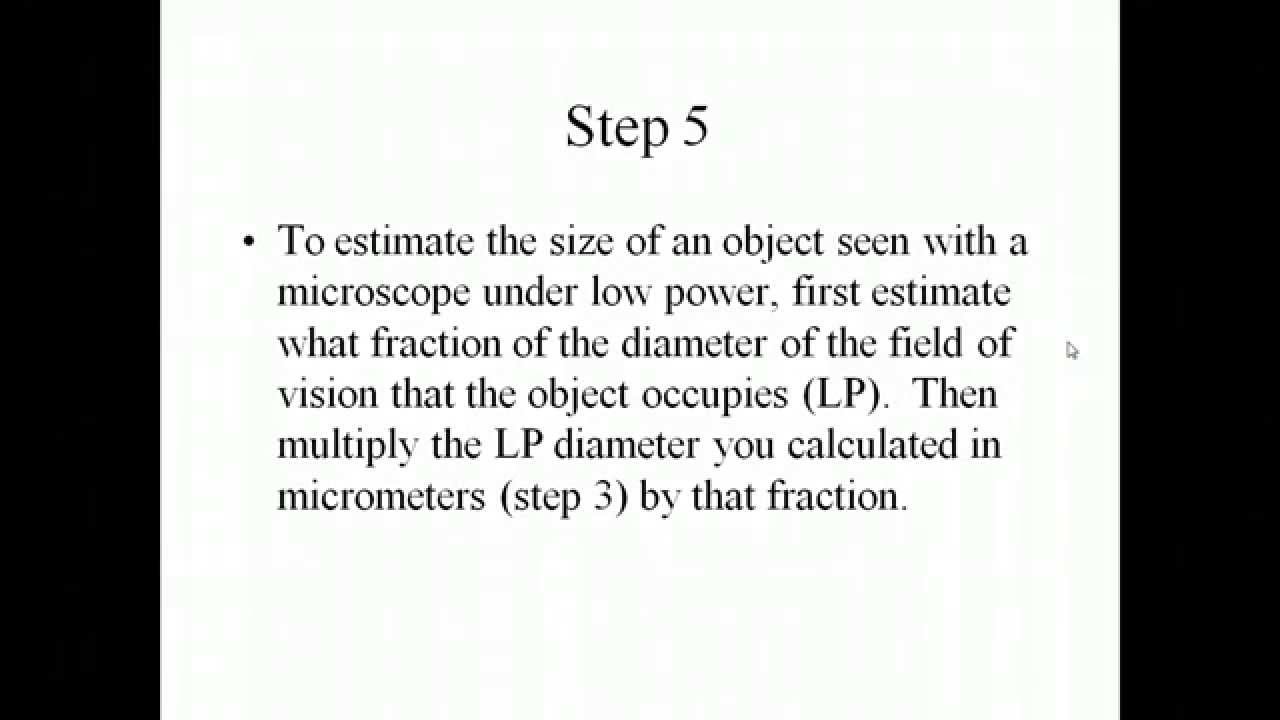 Microscopic Measurement YouTube microscopic-measurement-youtube