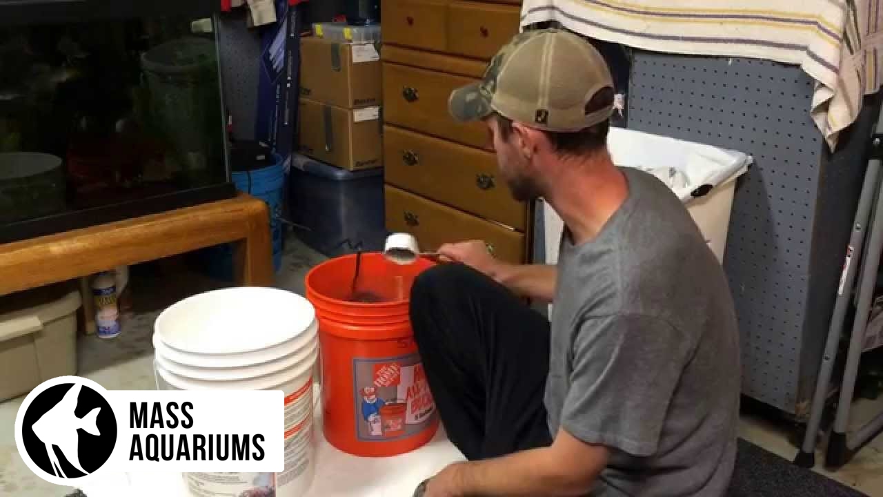 Maxi Jet 1200 Pump Review: Part 2 - YouTube