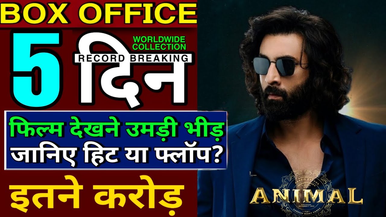 Animal 5th Day Box Office Collection, Animal Box Office Collection Day ...