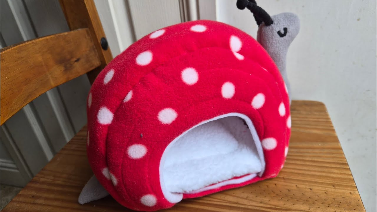 NEW snail bed for STRUDEL 😆 #Snail #bed #hedgehog #pets #petlovers # ...