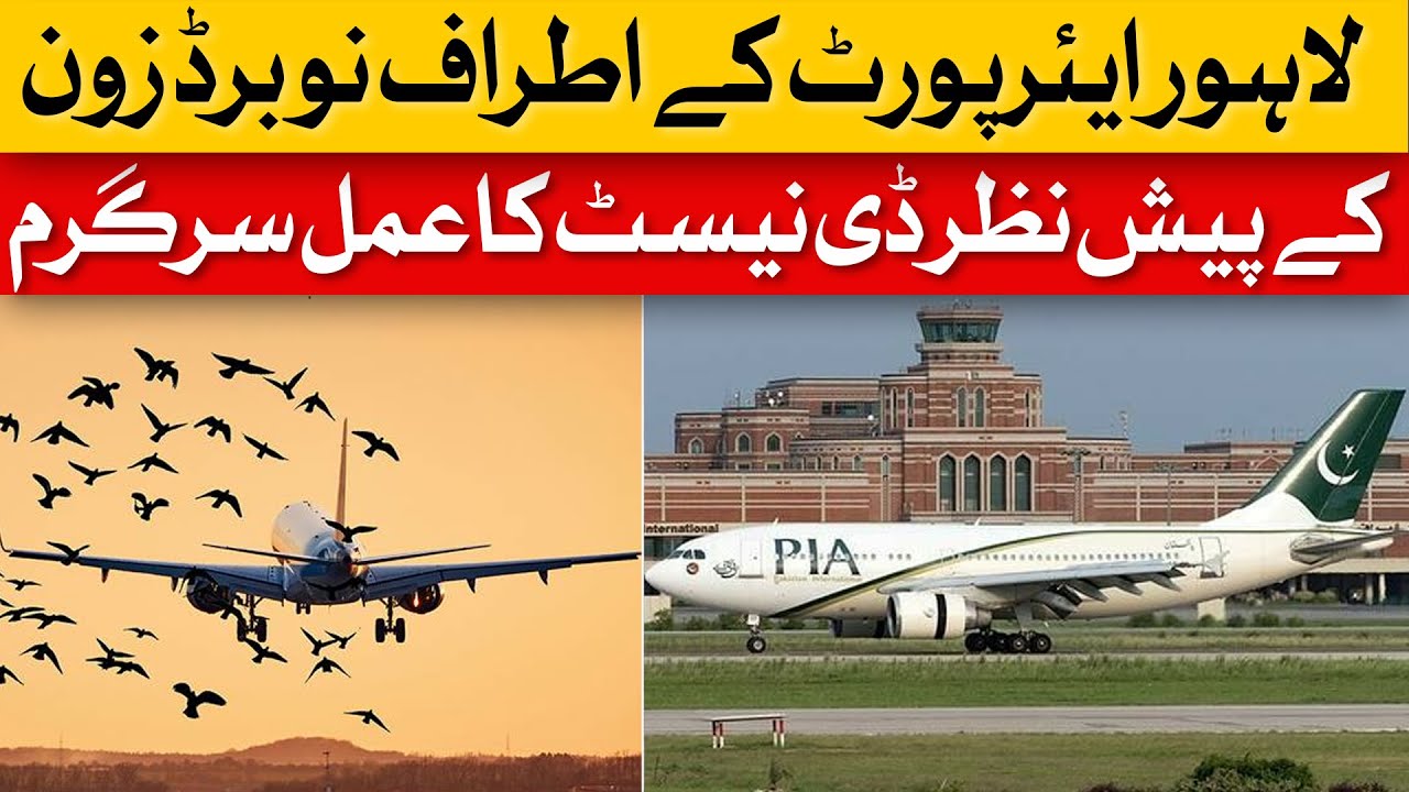 De-nesting Process Underway In View of No-bird Zone Around Lahore ...