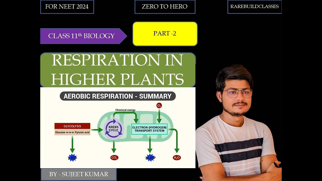 Respiration ।। Part 2 ।। Respiration in higher plants।। Class 11th ...