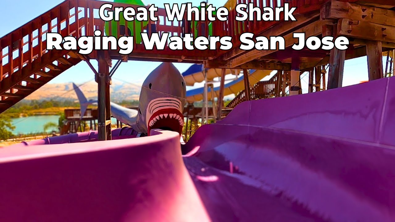 Great White Shark at Raging Waters San Jose POV - YouTube