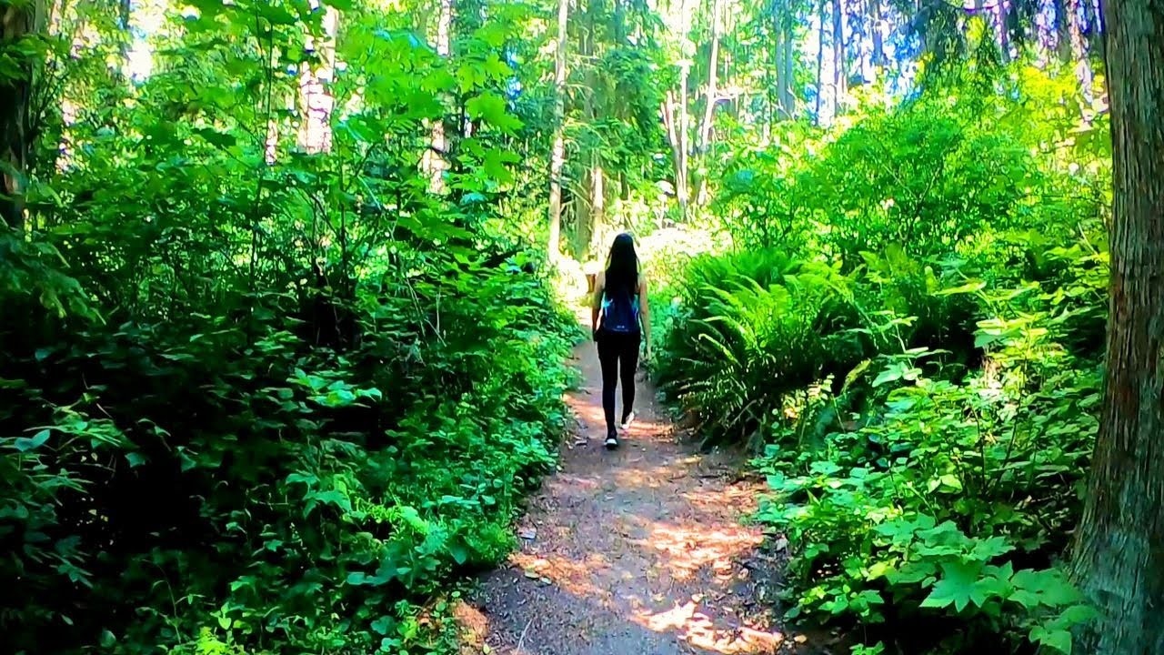 Carkeek Park (Broadview) | Best Seattle city parks - YouTube